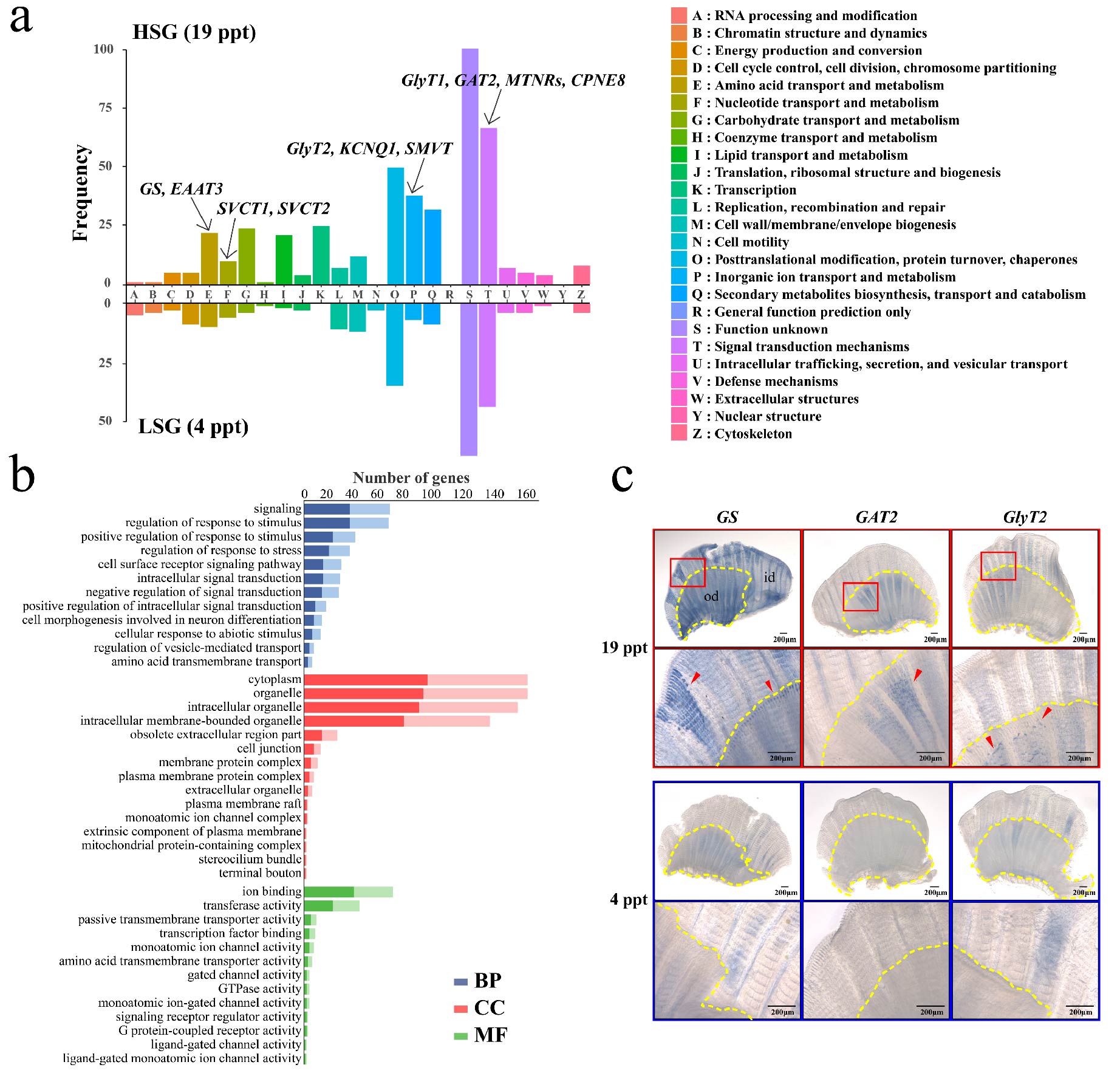Genome assembly, gene content, and plastic gene expression responses to ...