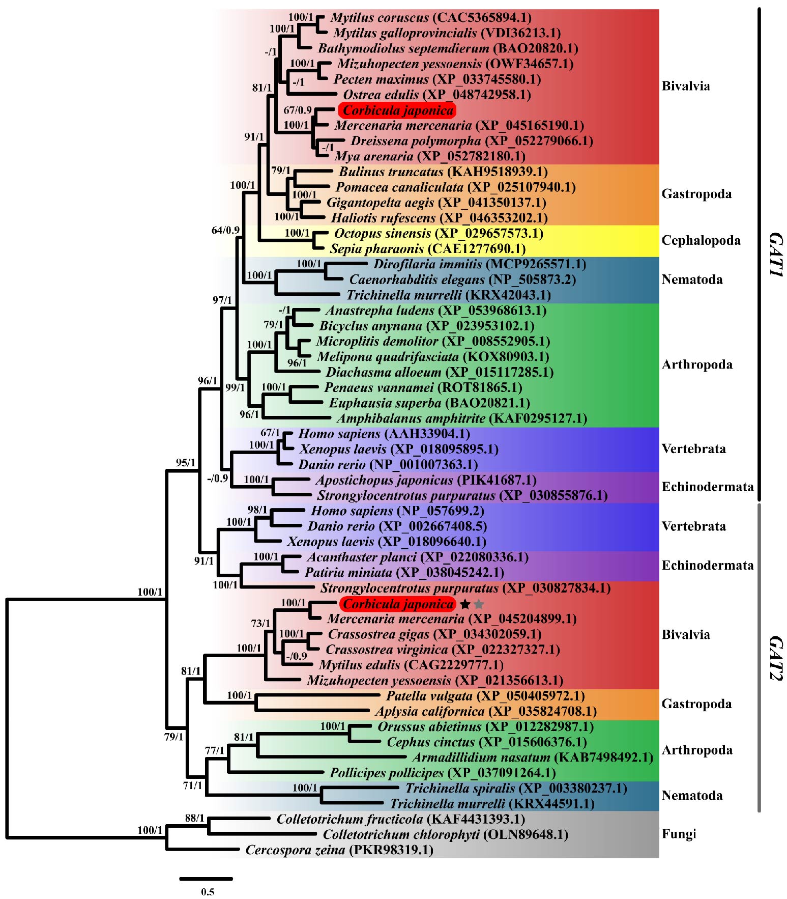 Genome assembly, gene content, and plastic gene expression responses to ...